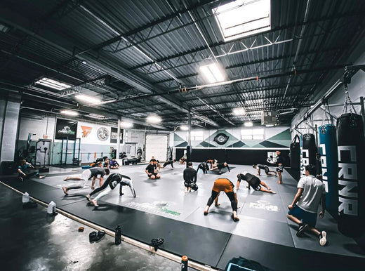 How to Recover Faster in Boxing, Muay Thai, and MMA – Maximum Sport