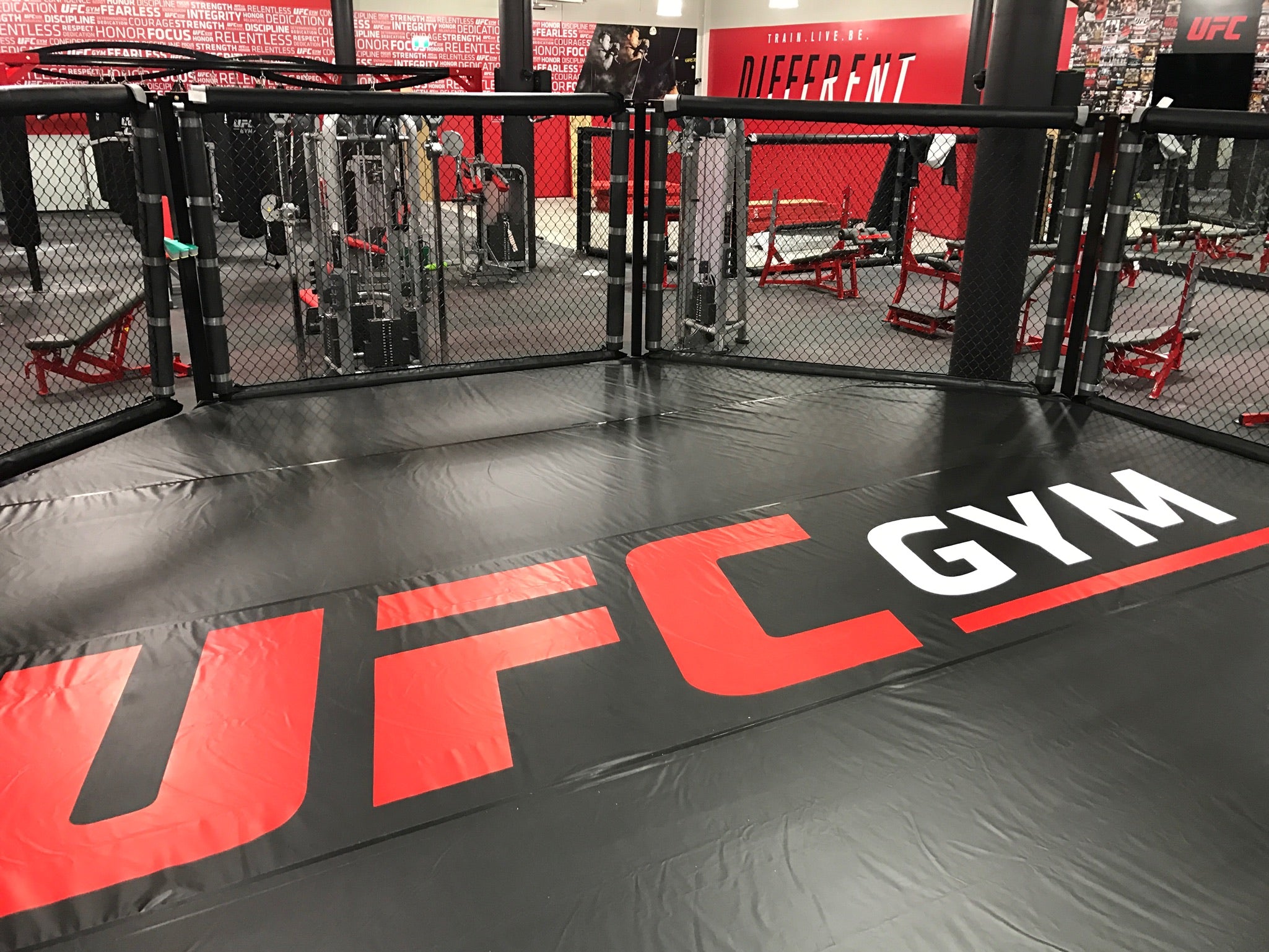 Martial Arts Flooring | High-Quality Mats for Training & Competition
