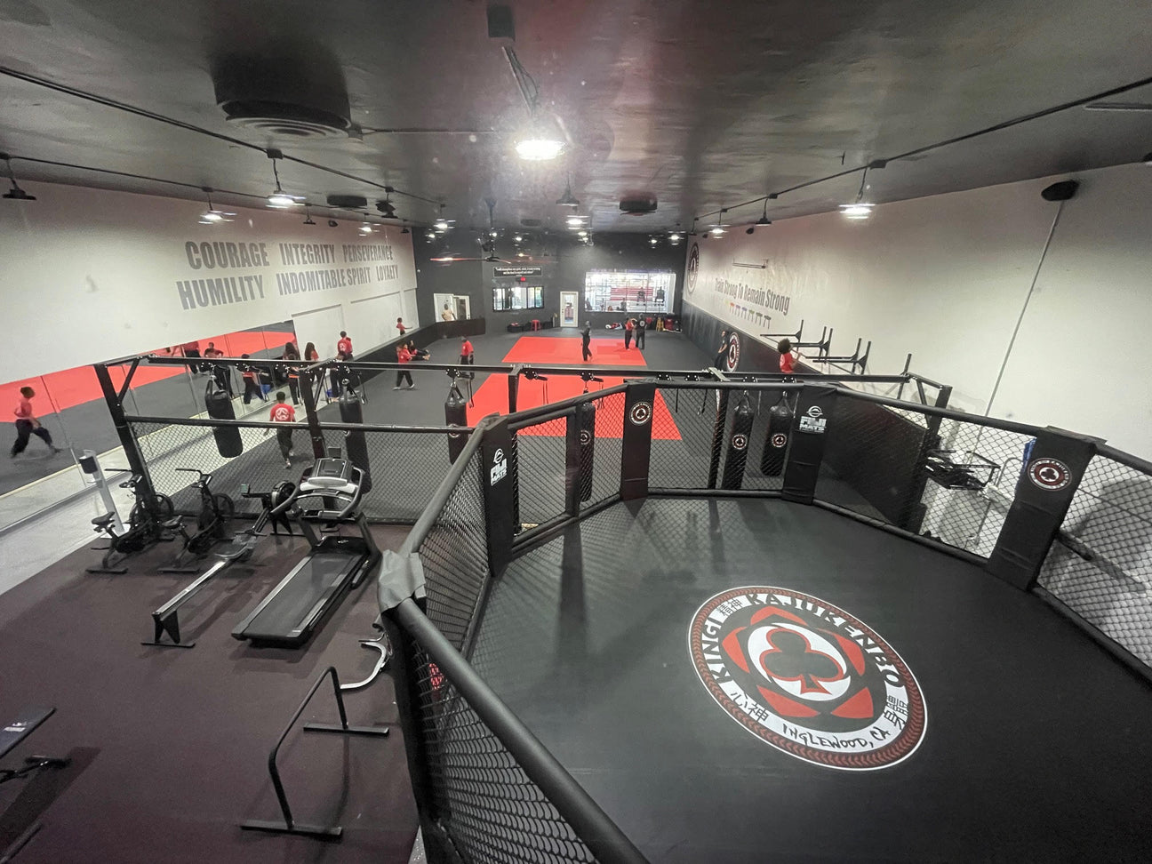 MMA Cage | Professional-Grade MMA Cages Designed for Your Gym